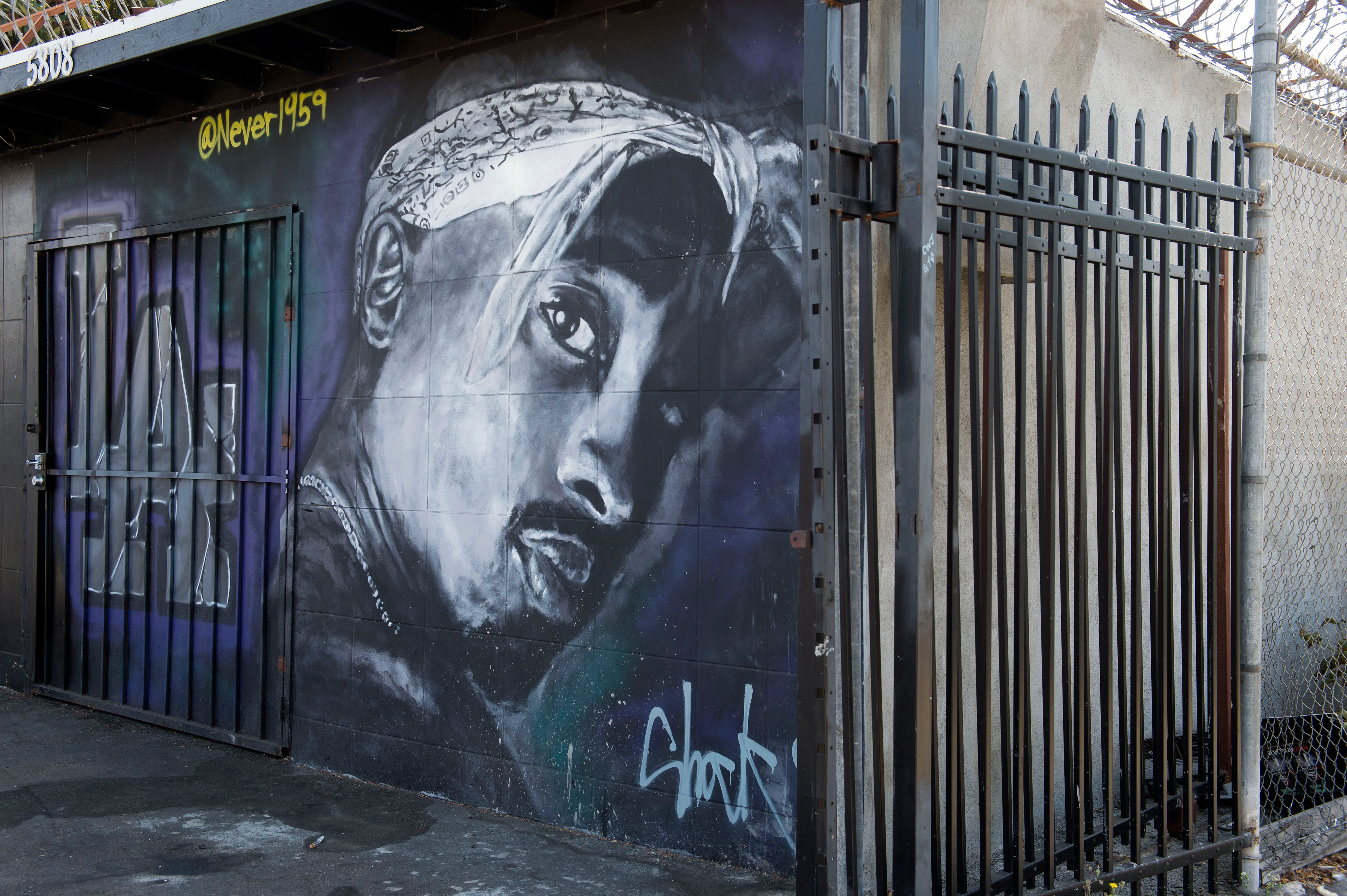 To understand Tupac's music career, we have to face his history with ...