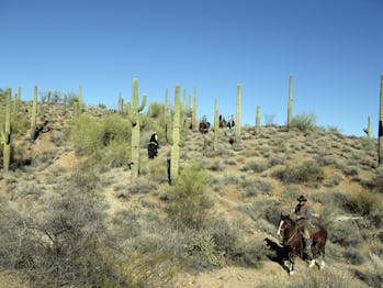 How Wickenburg, Arizona, a town of 7,000, became the rehab capital of ...
