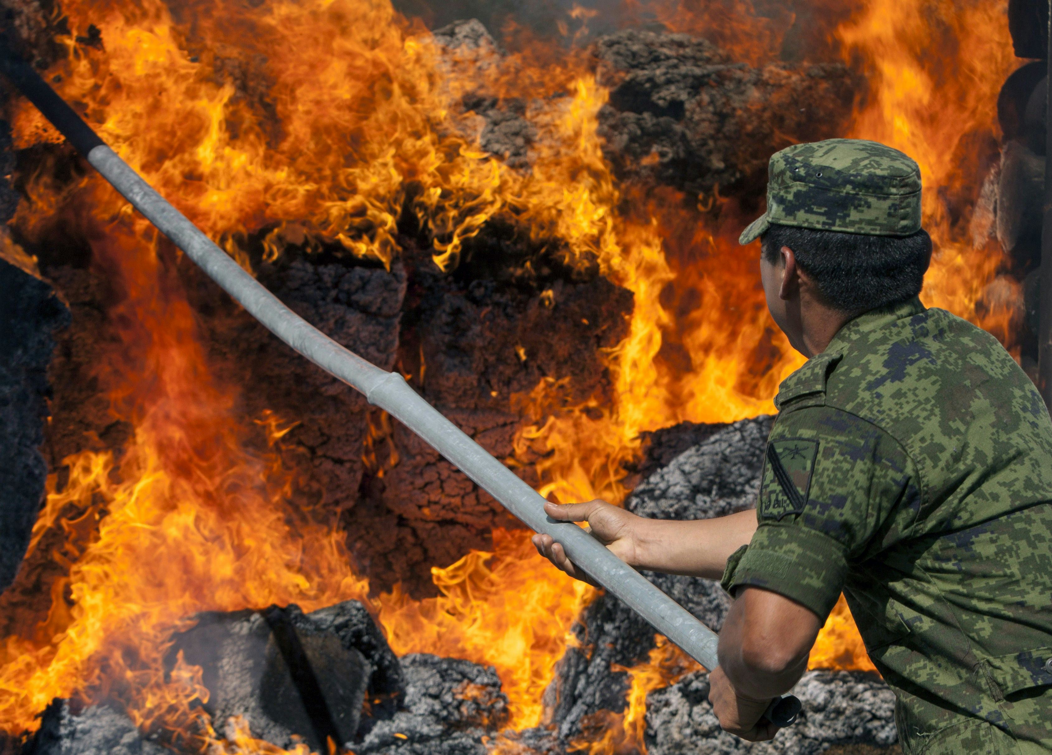 11 Months After Marijuana Legalization, Here's What's Happening to ...