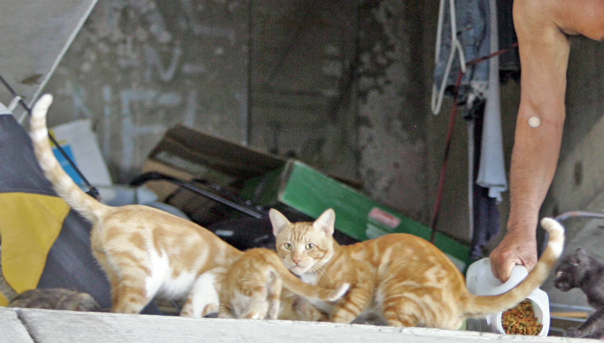 This Nonprofit Is Working to Prove That Homeless People Deserve Healthy ...