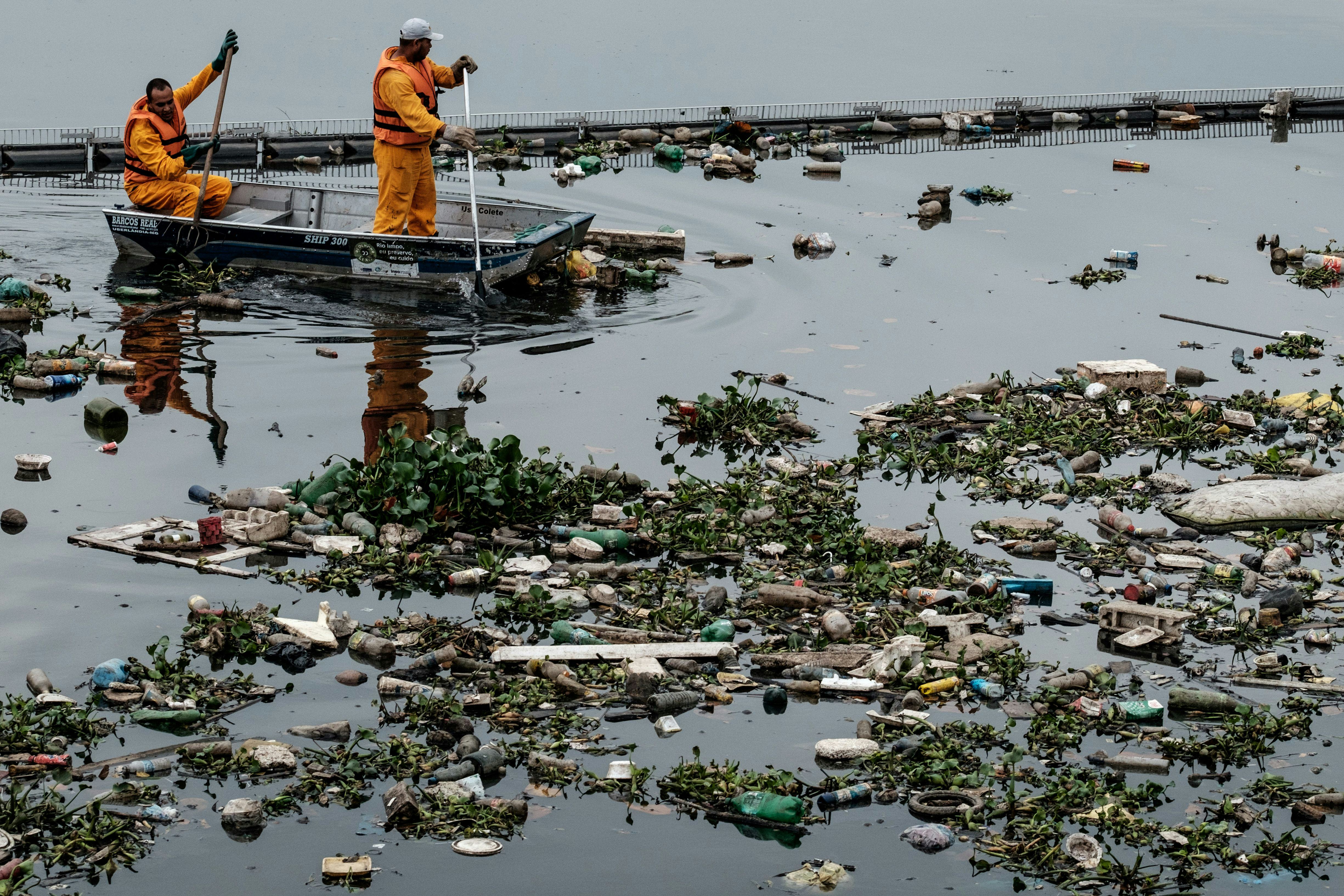 Brazil Couldn't Fix Its Water Pollution Problem in Time for the 2016 ...