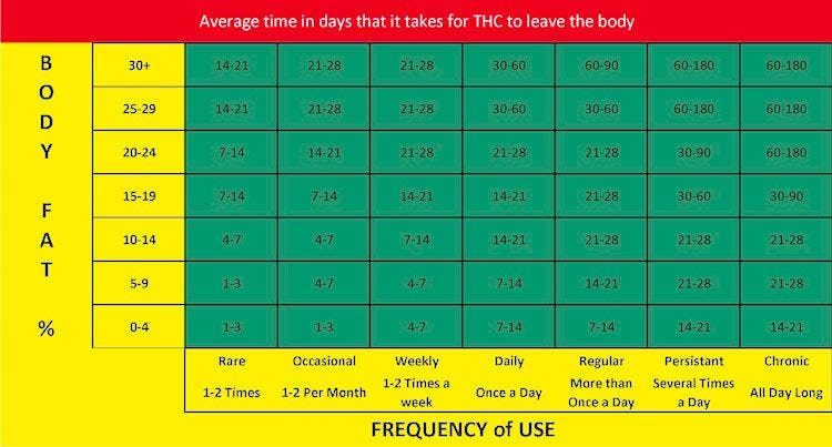 How long does weed stay in your system?