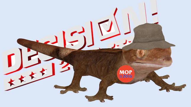 Everything Voters Need to Know About Lizard Election 2016