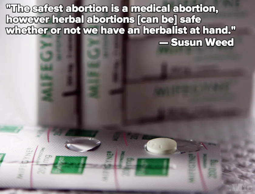 Women Are Learning About Herbal Abortion Online — Here's Why That's a ...